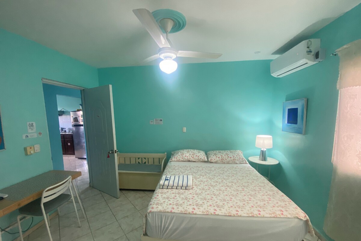 Quarto casal clássico de uso individual, 1 cama Queen, para não fumantes | Vista do quarto