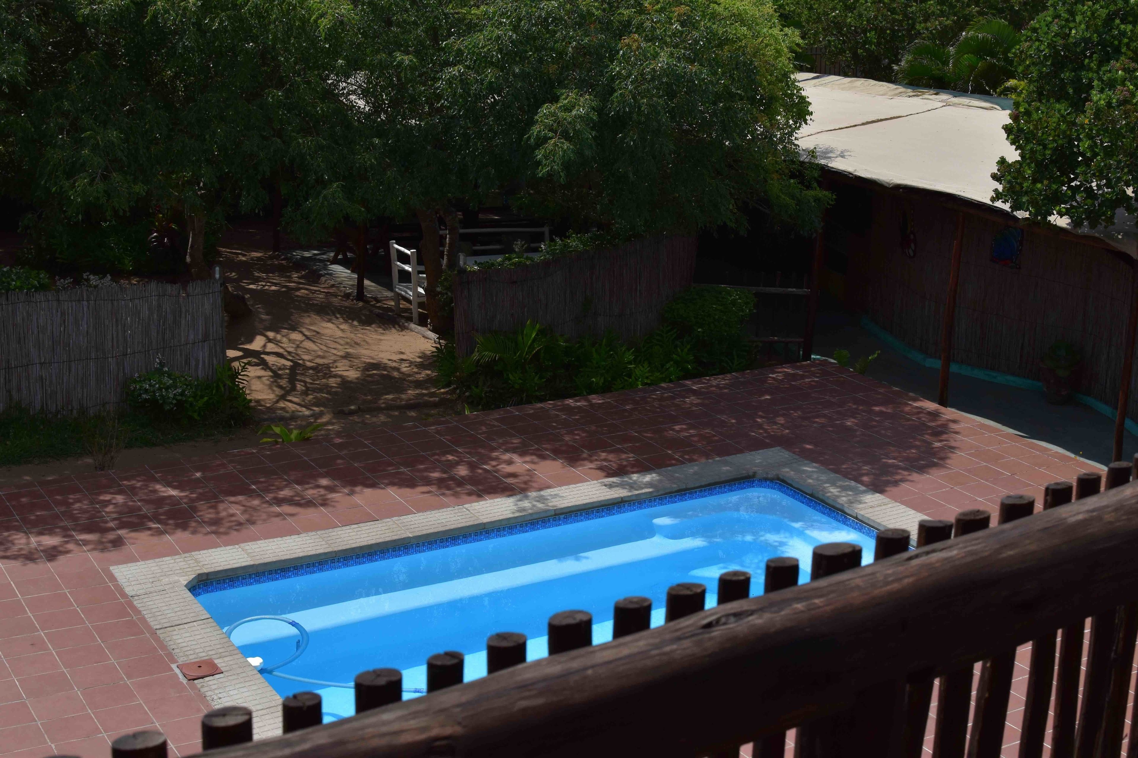 Piscina retangular com deck de madeira ao redor, inserida em área ajardinada com árvores e caminho de tijolos.