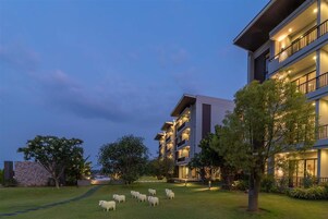 Terrenos do alojamento