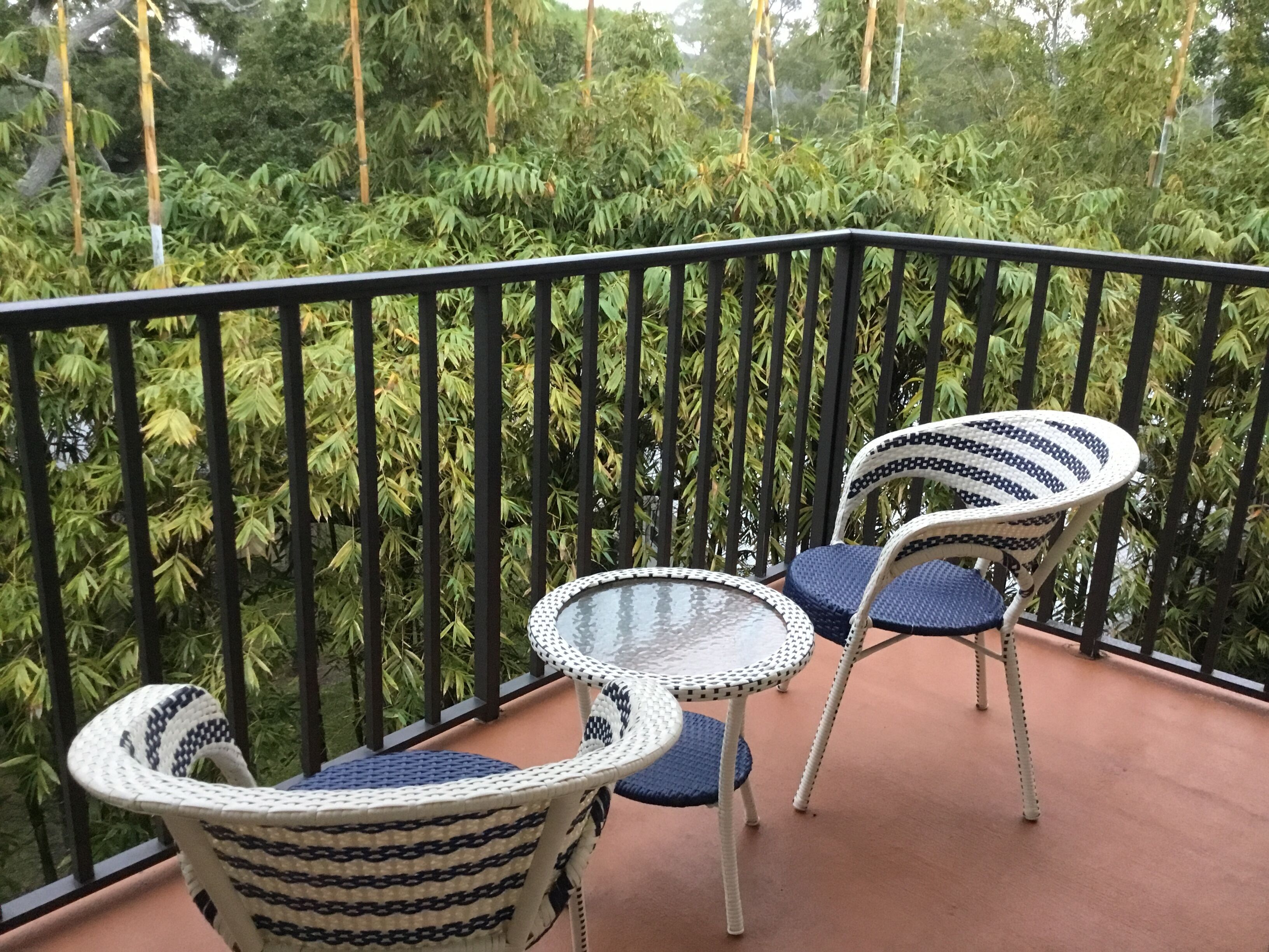 25 Best Vrbo Accommodations In Dunedin, Florida - Updated 2024 | Trip101