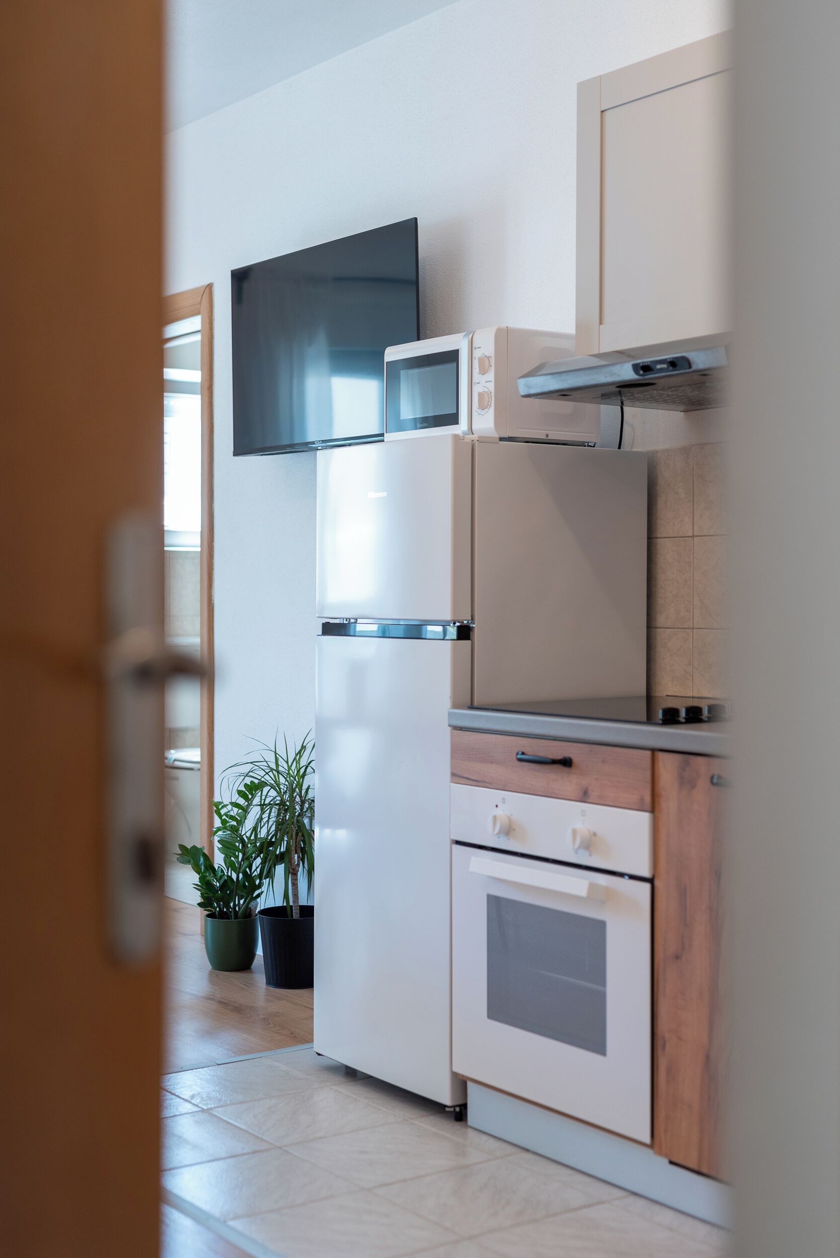 Cozinha moderna com micro-ondas, forno e fogão embutido. Há duas plantas em vasos e um armário de madeira.