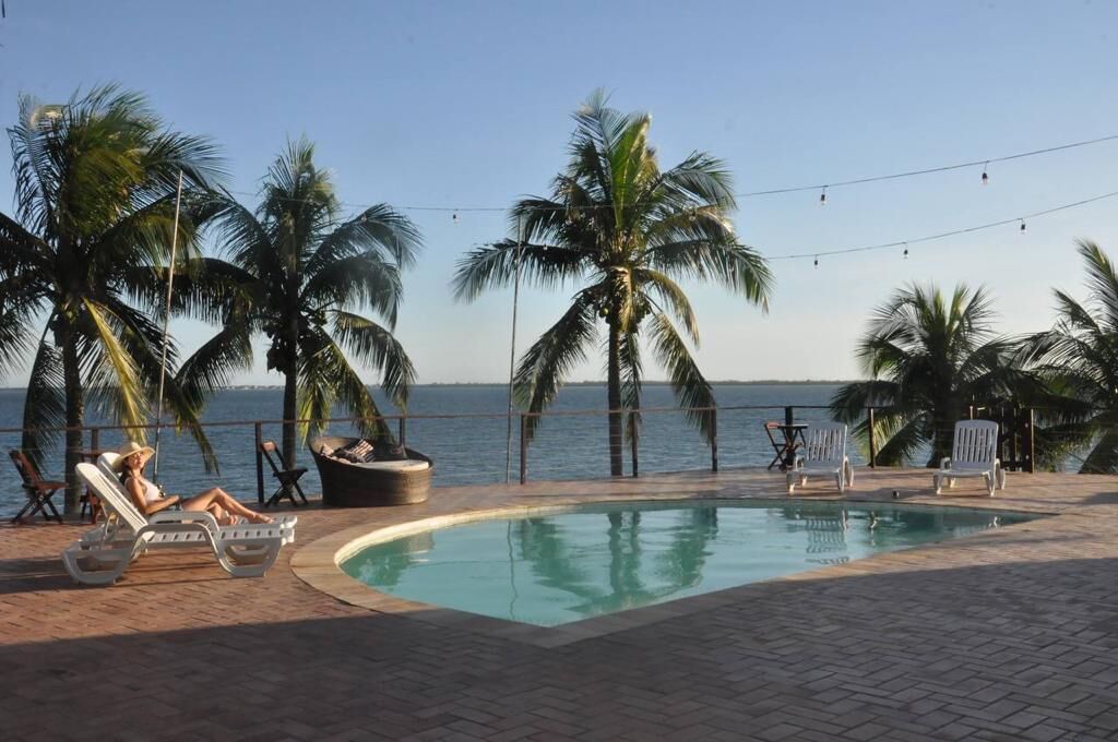 Uma área de piscina com espreguiçadeiras e palmeiras, com vista para um corpo d'água.