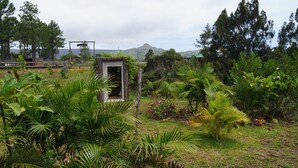 Um jardim com diversas plantas tropicais, uma pequena construção de madeira e montanhas ao fundo.