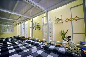 Escrivaninha, cortinas blackout, quartos à prova de som