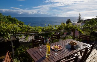 Apartamento, 1 quarto, terraço, vista para o oceano (2) | Vista para a praia ou o mar