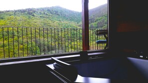 Vista para a montanha