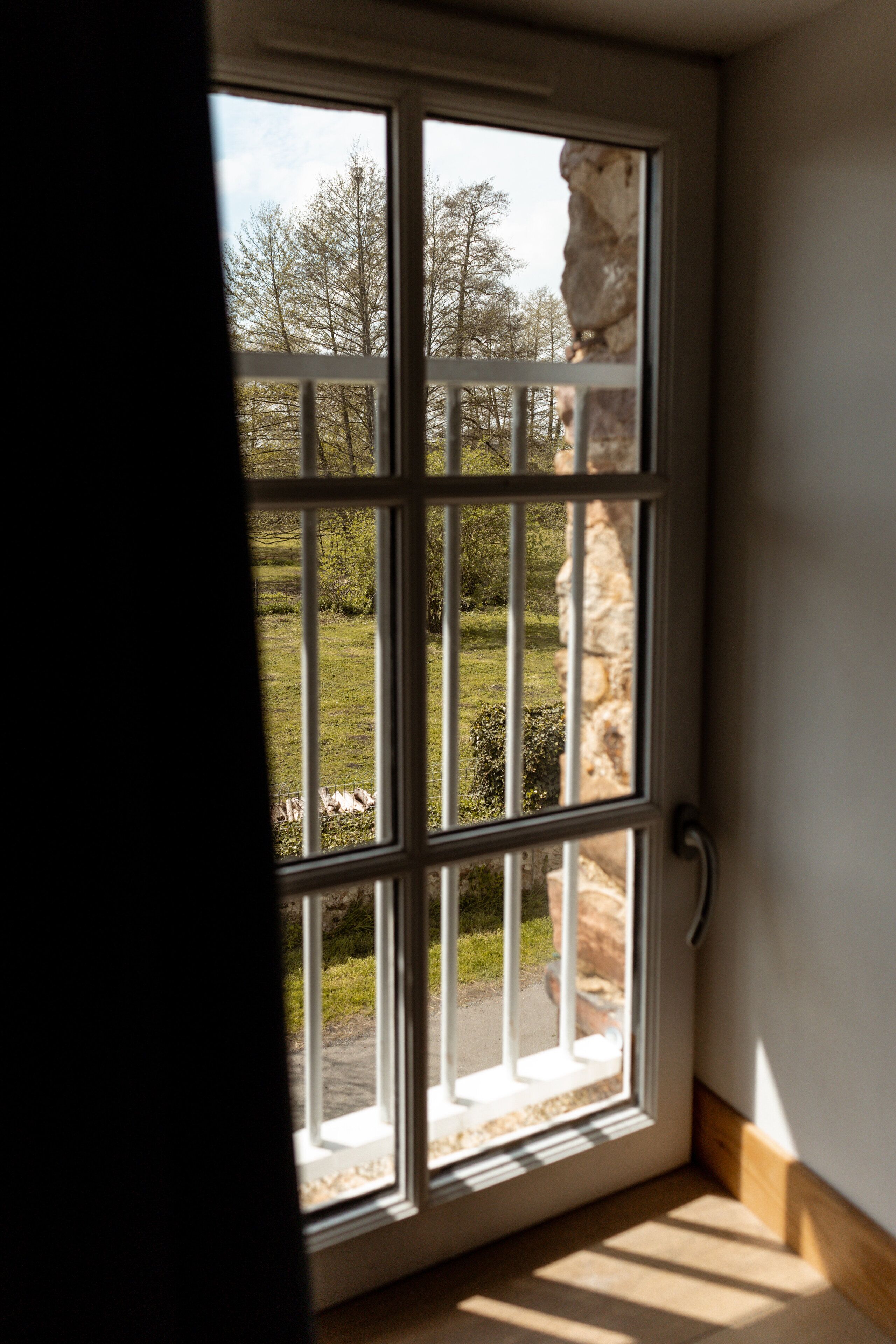 Uma janela com vista para um jardim e árvores.