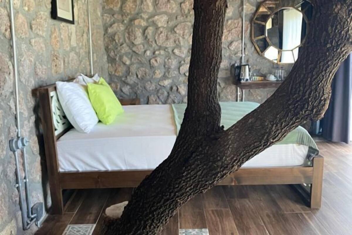 Roupas de cama de algodão egípcio, roupas de cama premium