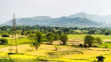 Paisagem rural com campos, árvores e uma cordilheira distante.