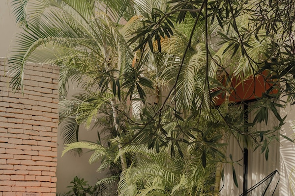 Piscina exterior, da(s) 09:00 à(s) 22:00, espreguiçadeiras