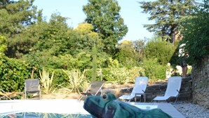 Uma área de piscina com espreguiçadeiras e uma estátua decorativa de um sapo.
