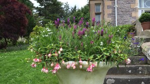 Um vaso grande e claro, com flores rosa e roxa, colocado numa área gramada com degraus que levam a um edifício de pedra.