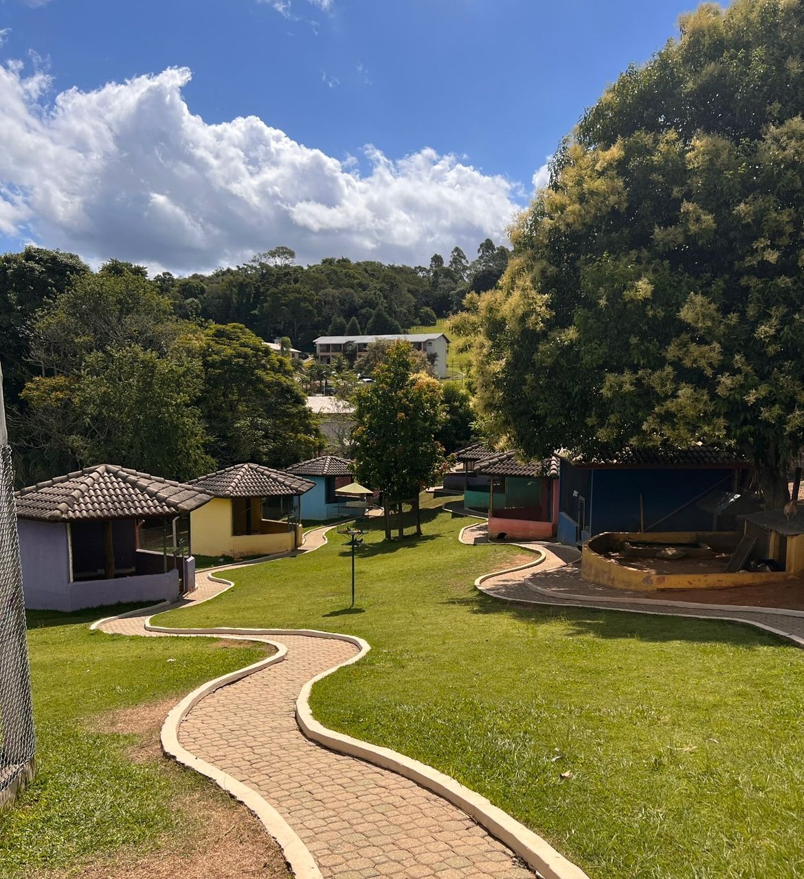 Um bairro residencial com casas pequenas, um caminho sinuoso e uma grande árvore.
