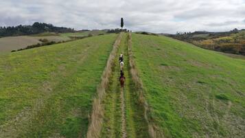 Passeios a cavalo