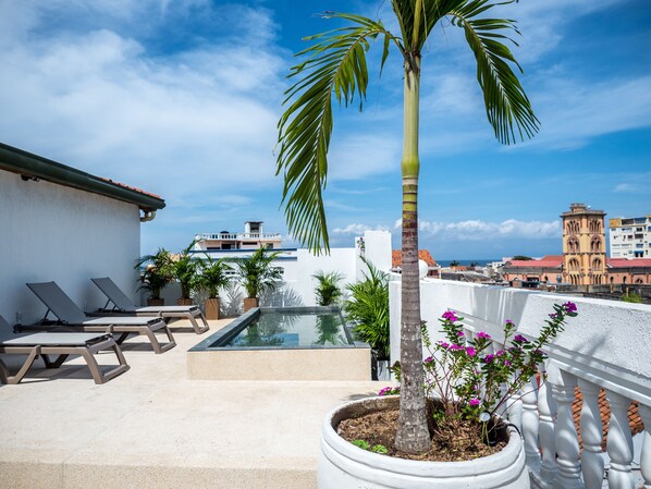 Terraço no telhado com espreguiçadeiras, uma piscina pequena e plantas em vasos.