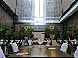 Pequenos-almoços servidos, cozinha internacional 