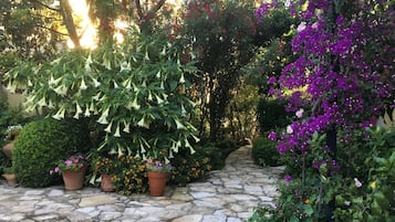 Vista para o jardim