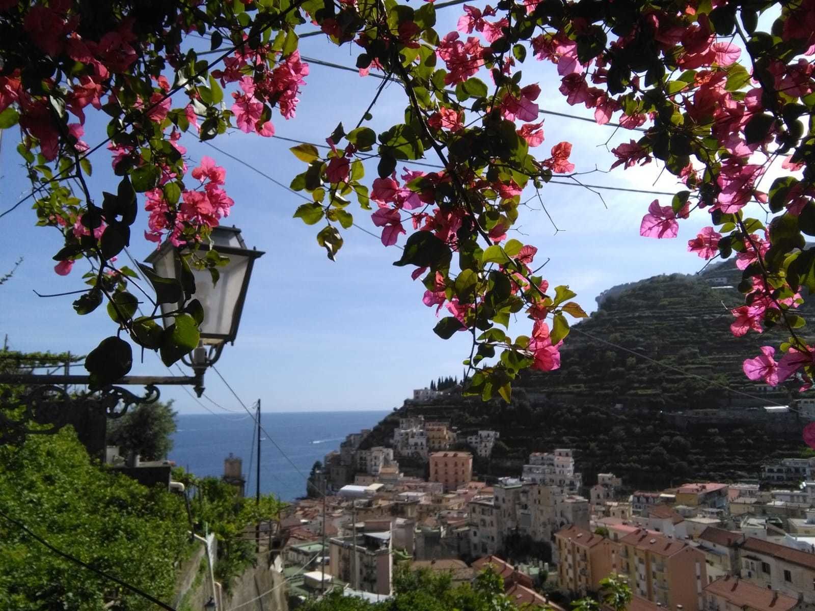 Uma vila costeira com edifícios, um poste de luz e flores de bougainvillea.