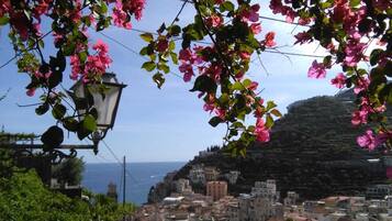 Uma vila costeira com edifícios, um poste de luz e flores de bougainvillea.