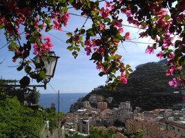 Uma vila costeira com edifícios, um poste de luz e flores de bougainvillea.
