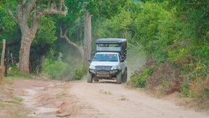 Um SUV Toyota numa estrada de terra, rodeado por vegetação.