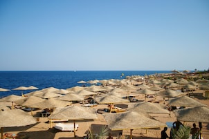 Praia particular nas proximidades