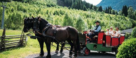 Uma carruagem puxada a cavalo transportando passageiros numa estrada rodeada por vegetação e colinas.