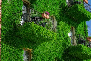 Fachada da propriedade