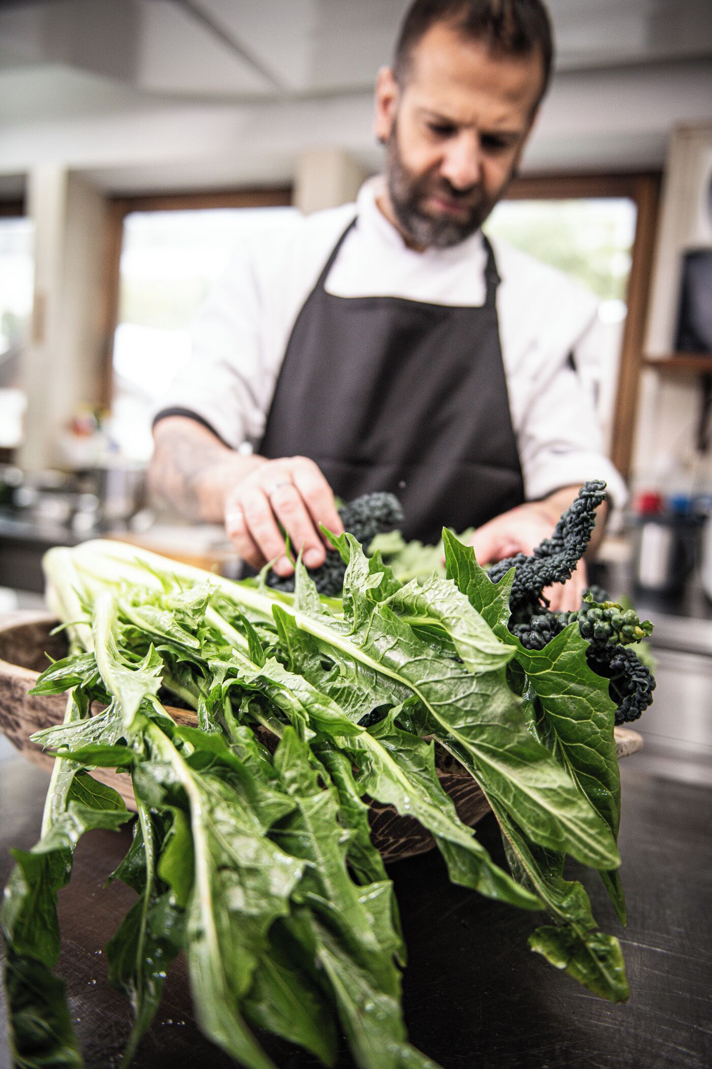 Um chef manuseando folhas verdes em uma cozinha.
