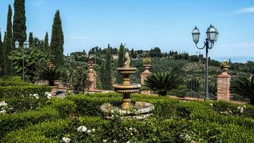 Um jardim com uma fonte, árvores altas e uma cerca.