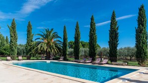 Piscina retangular com espreguiçadeiras e árvores altas ao redor.