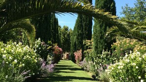Um jardim com um caminho central ladeado por árvores altas e arbustos floridos.