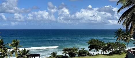 Vista de um campo de golfe com um pavilhão, palmeiras e o oceano.