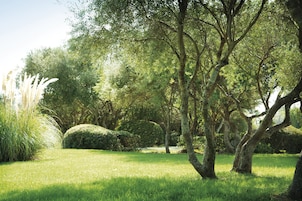 Jardim