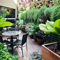 Jardim