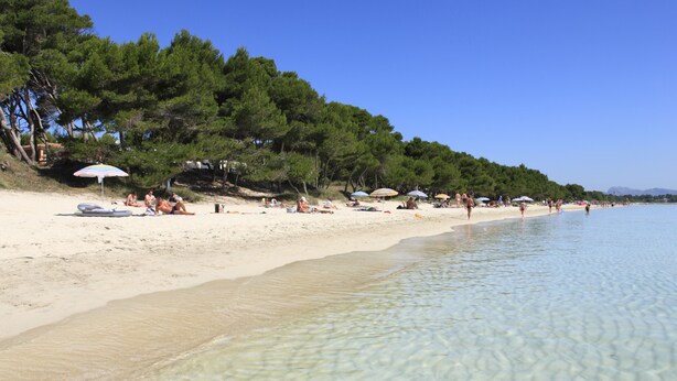 Uma praia com águas rasas e cristalinas, areal arenoso e árvores ao fundo.