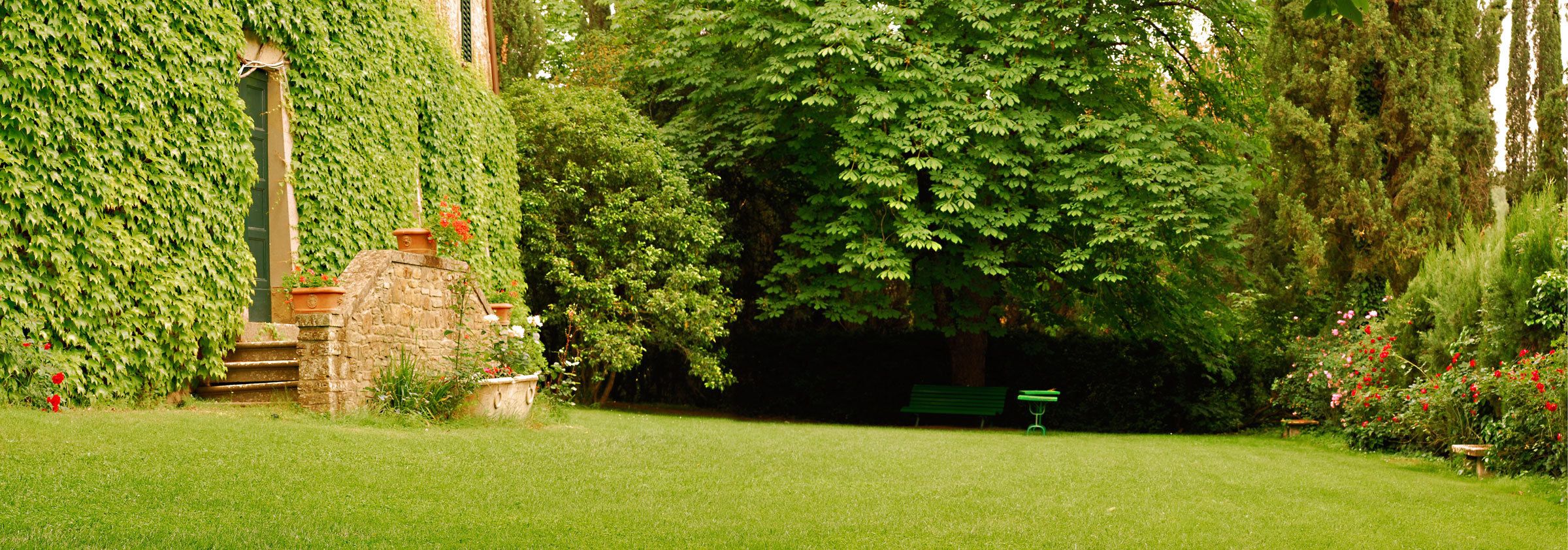 Um jardim exuberante com um banco de pedra, um sinal verde e diversas plantas e árvores.