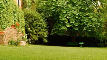 Um jardim exuberante com um banco de pedra, um sinal verde e diversas plantas e árvores.