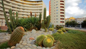 Um hotel com fachada curva, várias varandas e um jardim de cactos em primeiro plano.