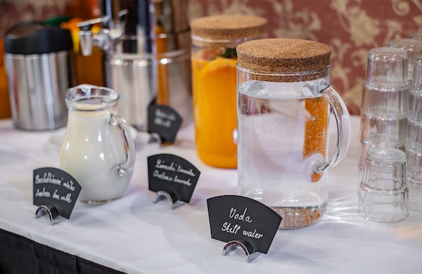 Chateau St Havel - Prague