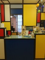 Um cão sentado em um balcão de recepção, com paredes coloridas, uma janela e diversos objetos no balcão.