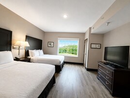 Quarto de hotel com duas camas, televisão, cômoda e janela com vista para área verde.