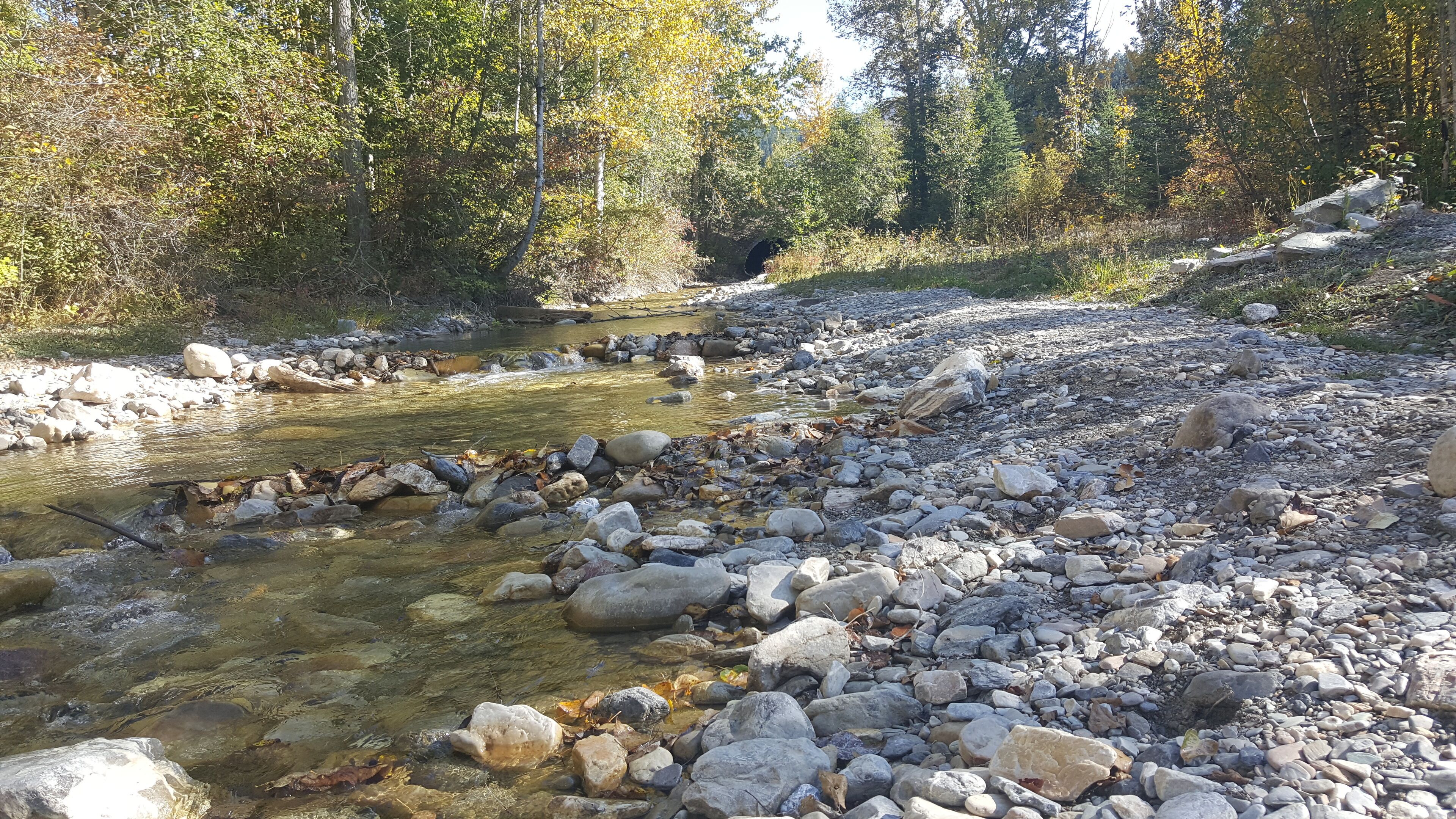 Leito de rio pedregoso com água cristalina, rodeado por árvores e uma ponte de pedra.