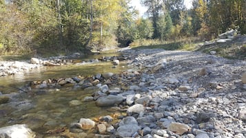 Leito de rio pedregoso com água cristalina, rodeado por árvores e uma ponte de pedra.