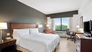 Quarto de hotel com uma cama grande, duas mesas de cabeceira com luminárias, uma escrivaninha com televisão, uma cadeira e uma janela com vista para o verde.