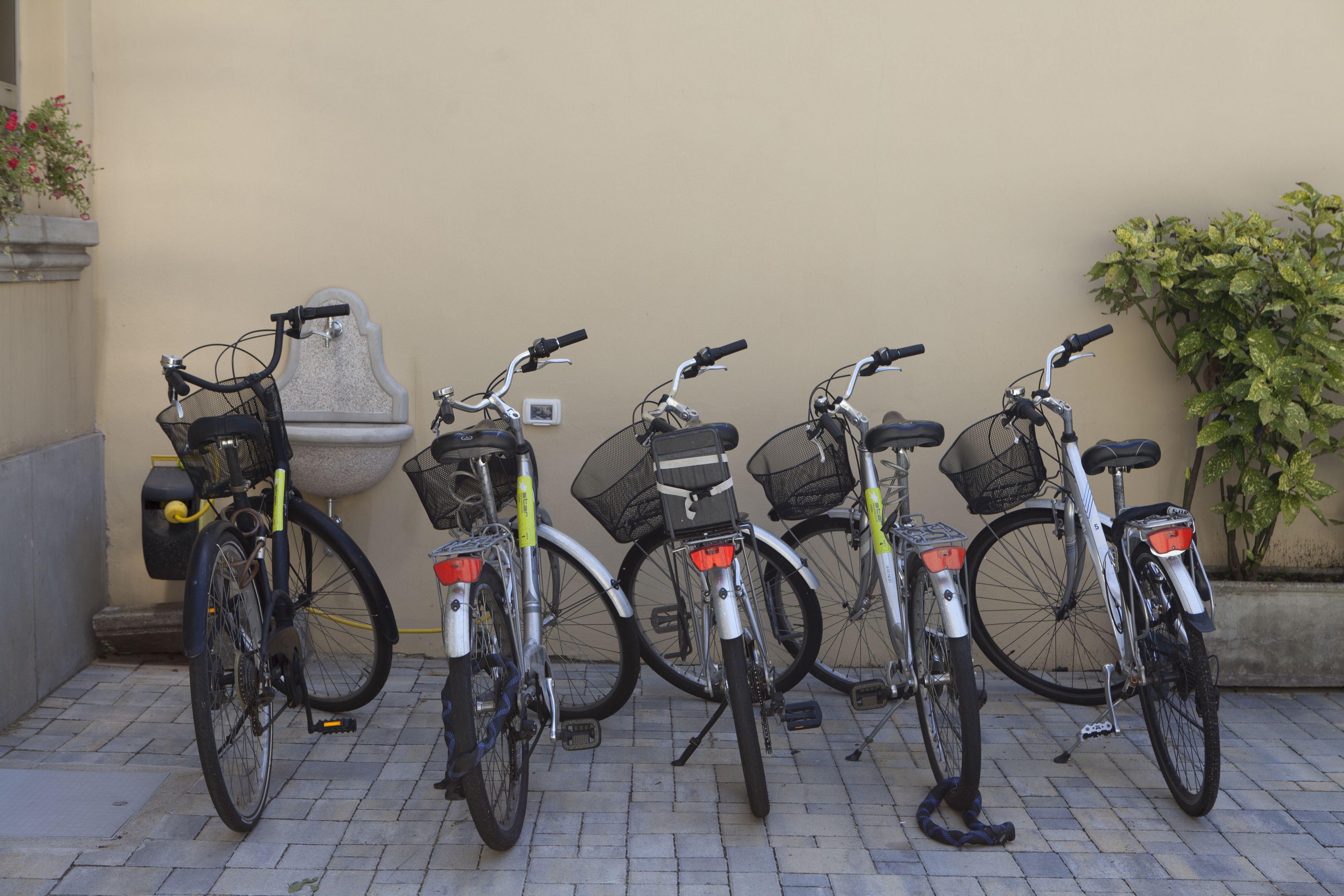Uma fileira de bicicletas estacionadas contra uma parede, com um vaso e uma planta em vasos por perto.