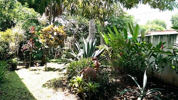 Jardim