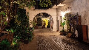 Uma passagem em arco com chão de pedras irregulares, rodeada por vegetação exuberante e plantas em vasos.