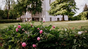 Um edifício branco com um gramado grande e flores rosa em flor no primeiro plano.
