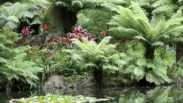 Jardim